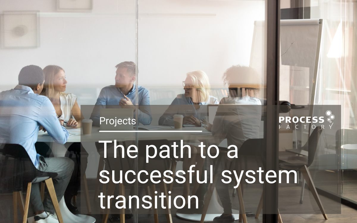 The Path to a Successful System Transition – Process Factory